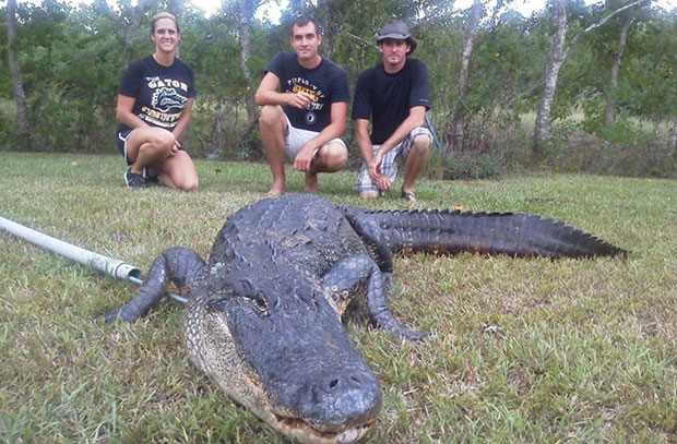 Gator Country Catch - KOGT