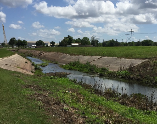 City Trying To Improve Cooper's Gulley - KOGT