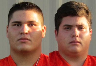 Two Bobcats In Blue-Grey Game - KOGT