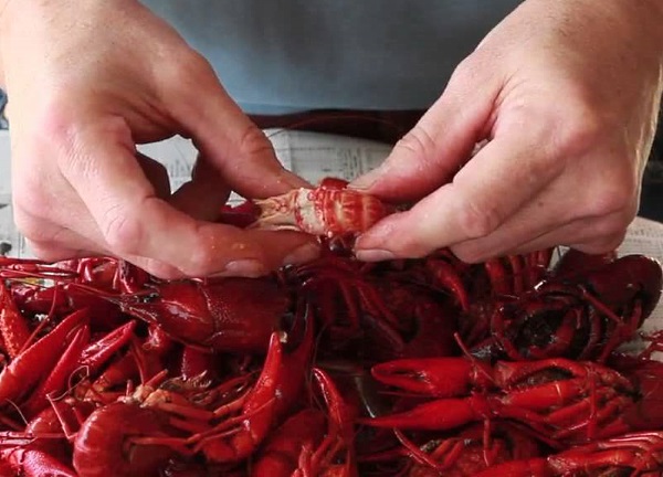 Crawfish Bash May 6-7 - KOGT