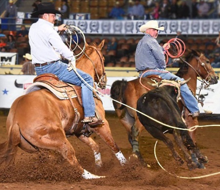 Pro Rodeo In Orange Feb. 1-2 - KOGT