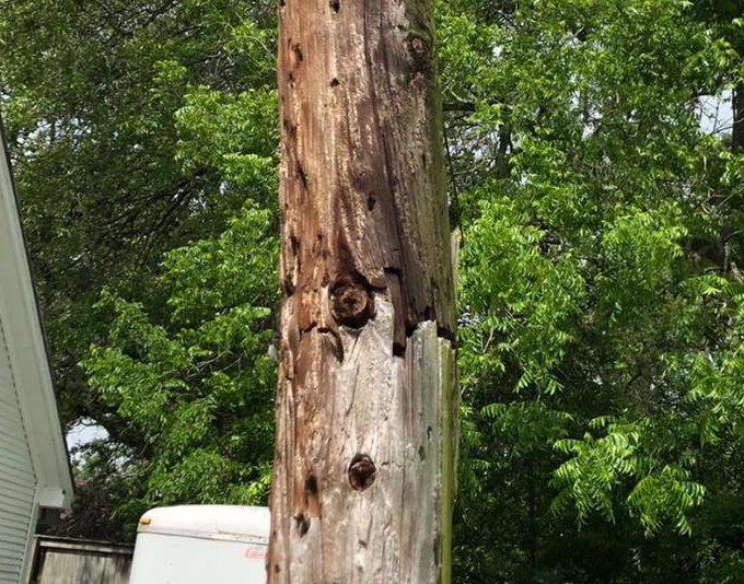 Broken Pole Said To Be Abandoned - KOGT