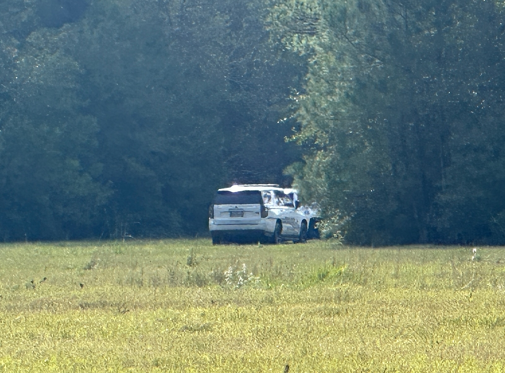 Man Apprehended From Tree - KOGT
