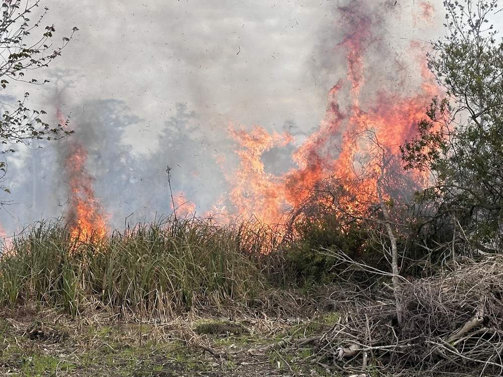 Marsh Fire Burns Out - KOGT