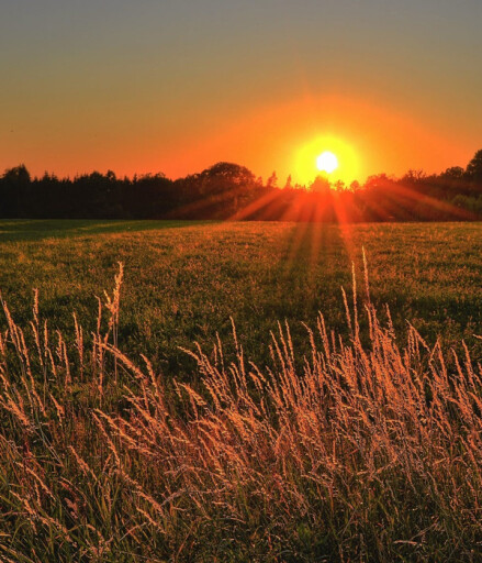 Shirley Ann Cornelison - KOGT