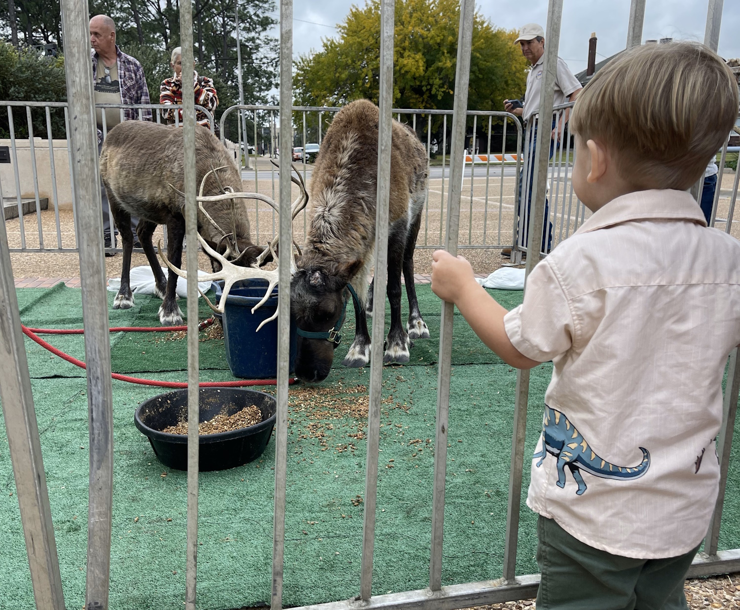 Reindeer Games A Hit - KOGT