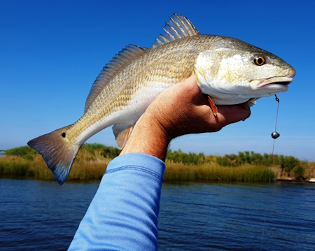 Fresh/Saltwater Fishing Report - KOGT